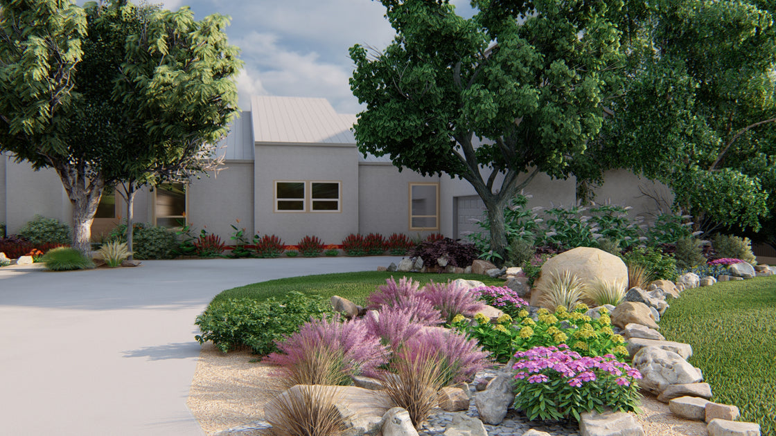 Inexpensive Drought Tolerant Landscaping Ideas – Bower & Branch
