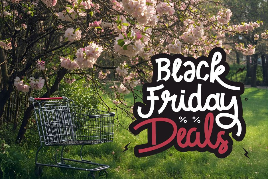 Black Friday - Big Tree Savings – Bower & Branch