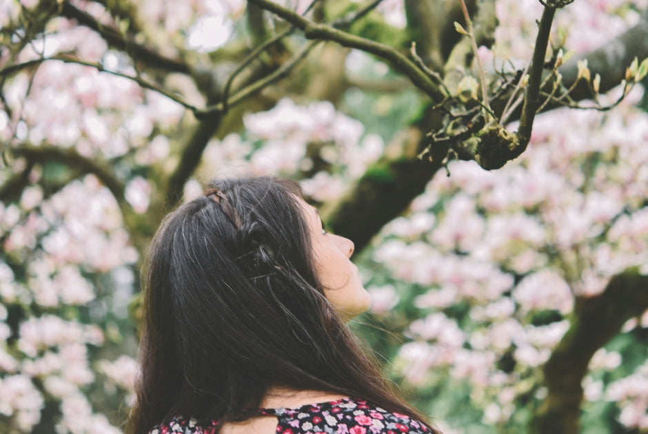 Featured Trees & Plants | Bower & Branch – Page 2