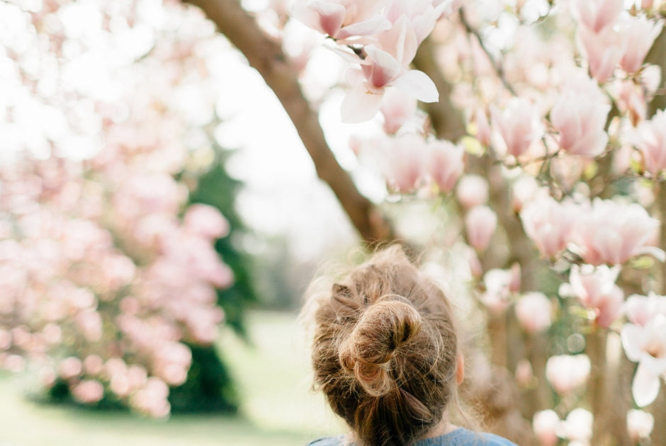 Most Popular Trees – Bower & Branch