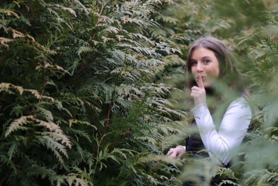 Arborvitae for Sale - Shop Hedges, Trees | Bower & Branch