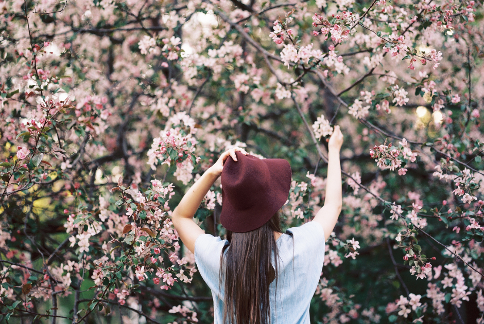 Tree Flower Trees 140 Best Flowering Trees! Ideas | Flowering Trees,