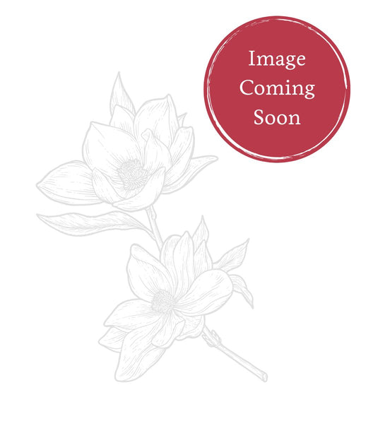 Kay Parris Southern Magnolia | Bower & Branch