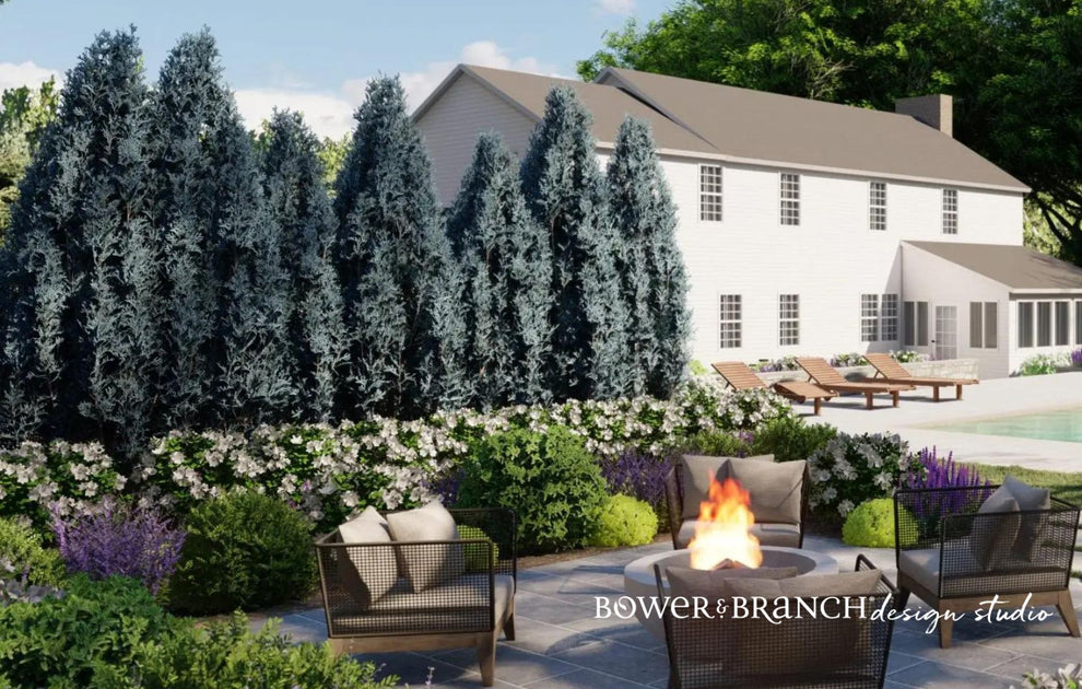 Tapestry Privacy Screen | Bower & Branch Signature Landscape Design