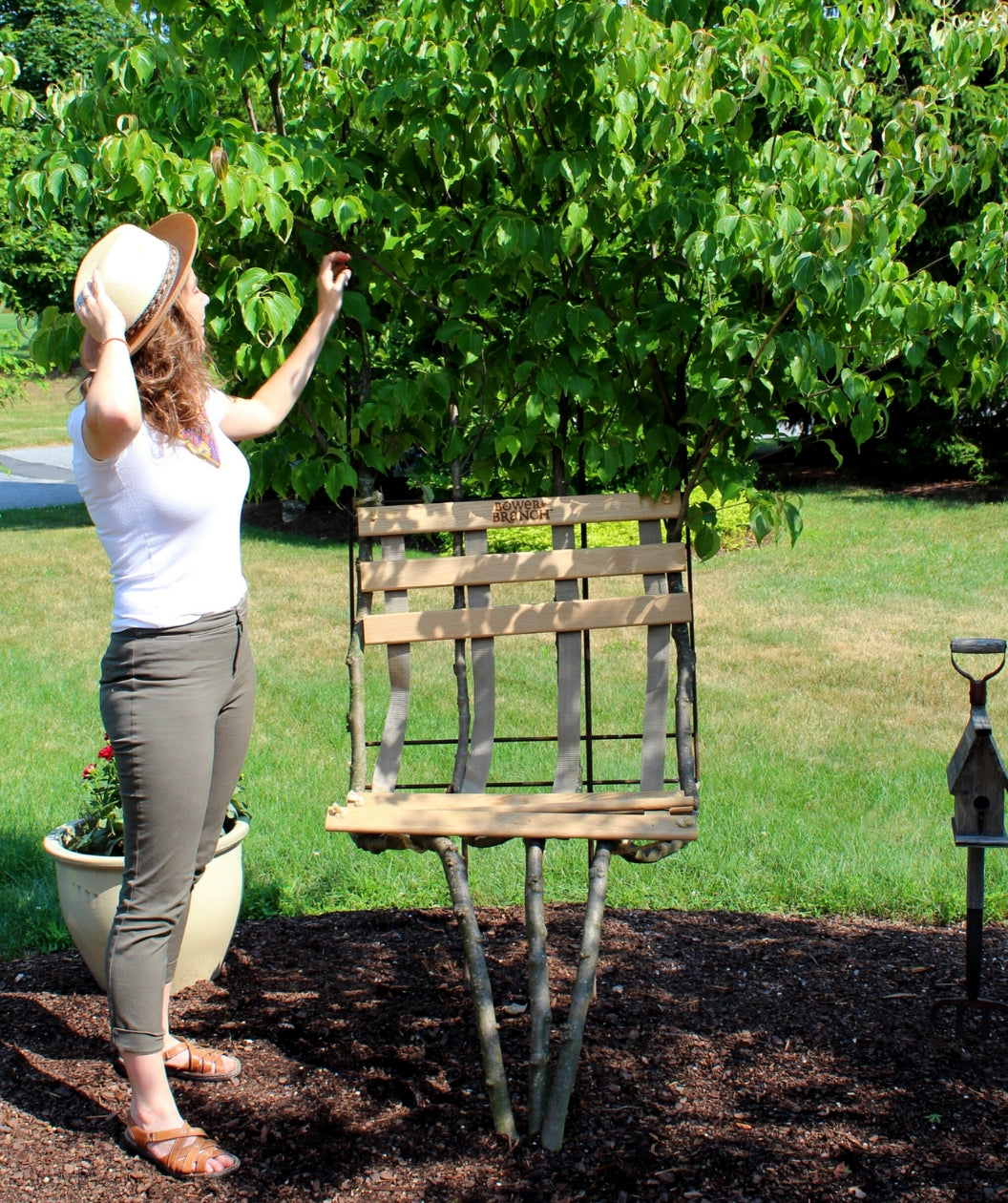 Living Tree Chairs | Bower & Branch